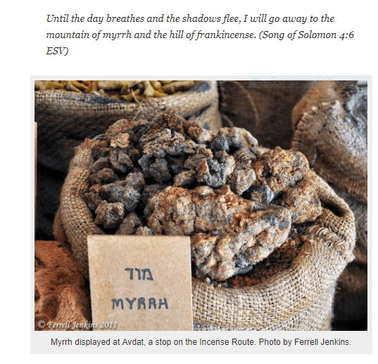 Miriam a.k.a. Essence of Myrrh/Bittersweet – The Thankful Revolution